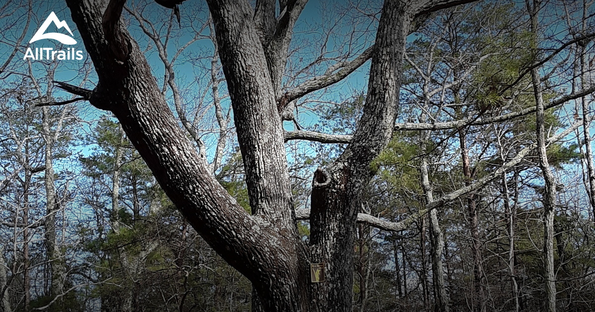 Best hikes and trails in Millerville | AllTrails