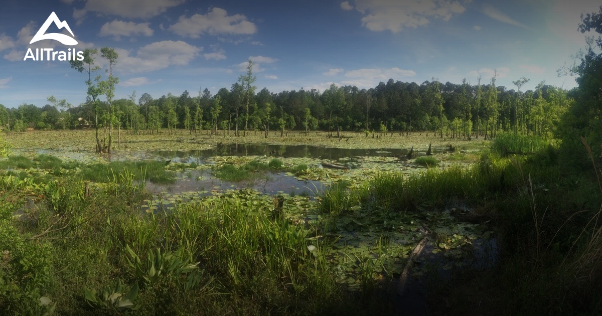 10 Best trails and hikes in Mobile | AllTrails