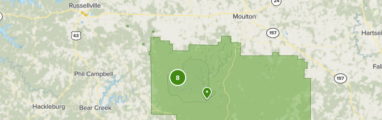 Best Hikes and Trails in Mount Hope | AllTrails