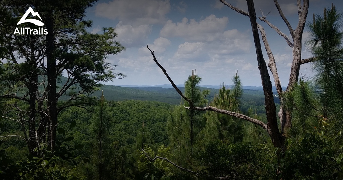 Best hikes and trails in Spring Garden | AllTrails