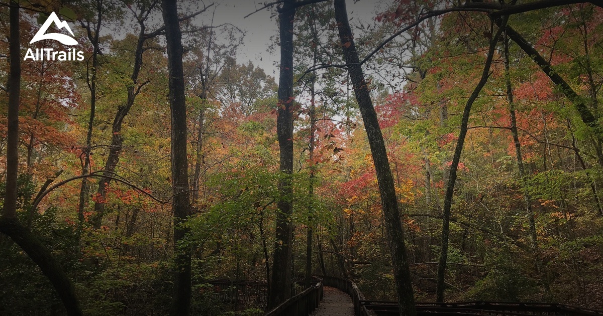 Best hikes and trails in Valley Head | AllTrails