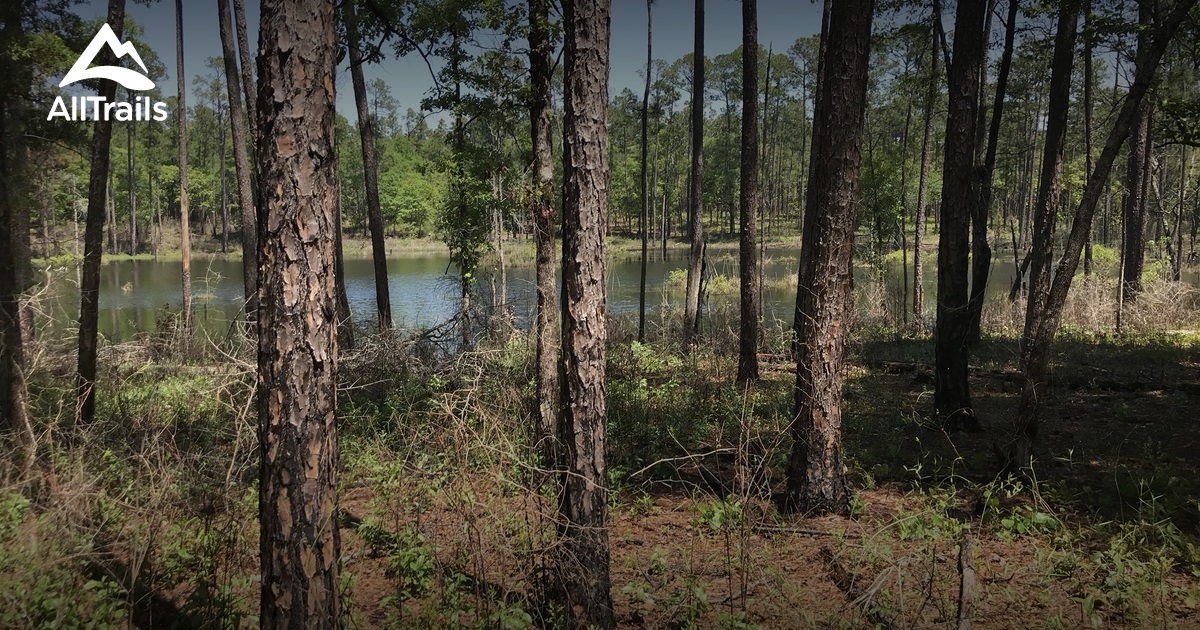 Best wildflower trails in Wing | AllTrails