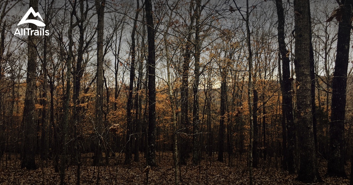 Best hikes and trails in Woodville | AllTrails