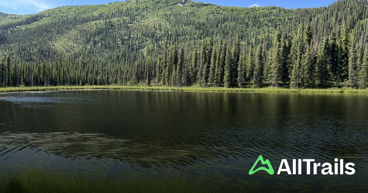 Best long trails in Denali Park | AllTrails