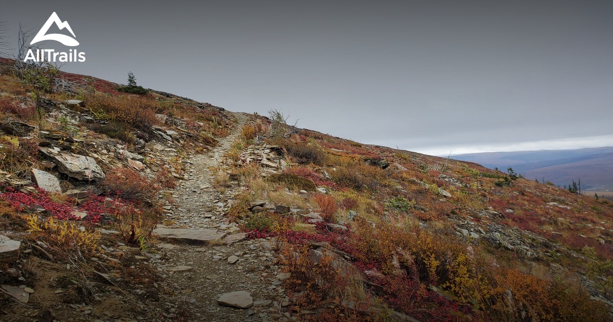 Best Trails near Salcha, Alaska | AllTrails