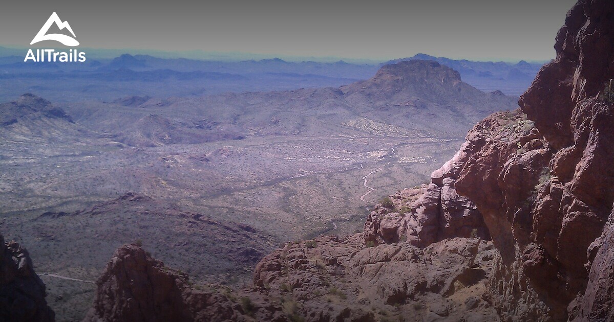 Best wildflower trails in Ajo | AllTrails