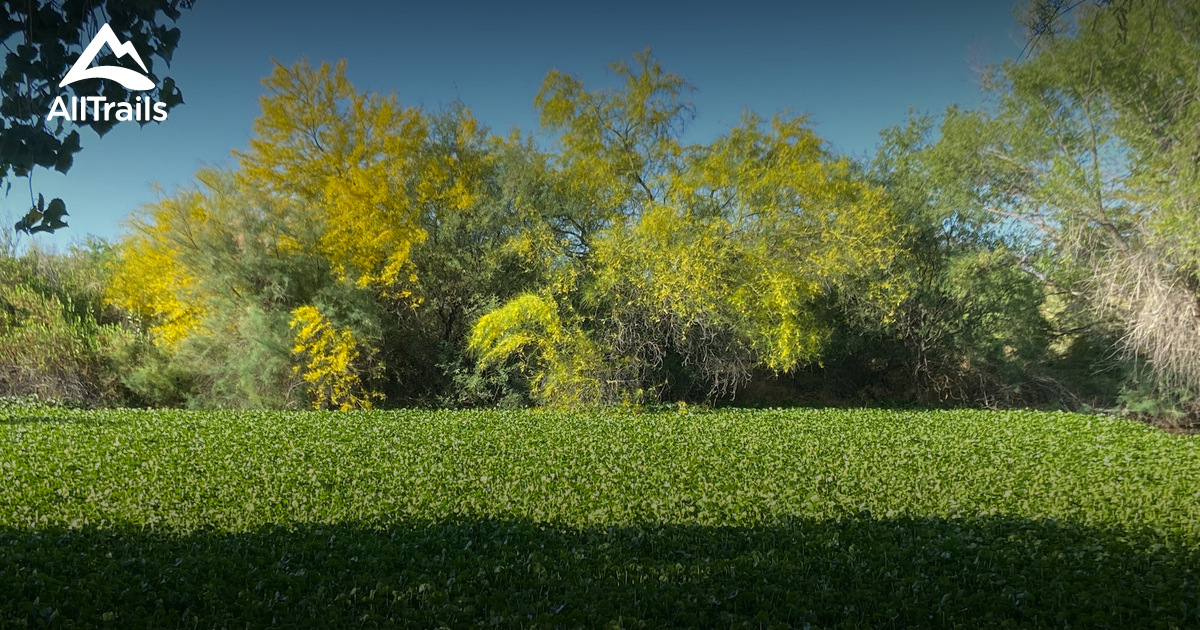 Best hikes and trails in Cashion | AllTrails