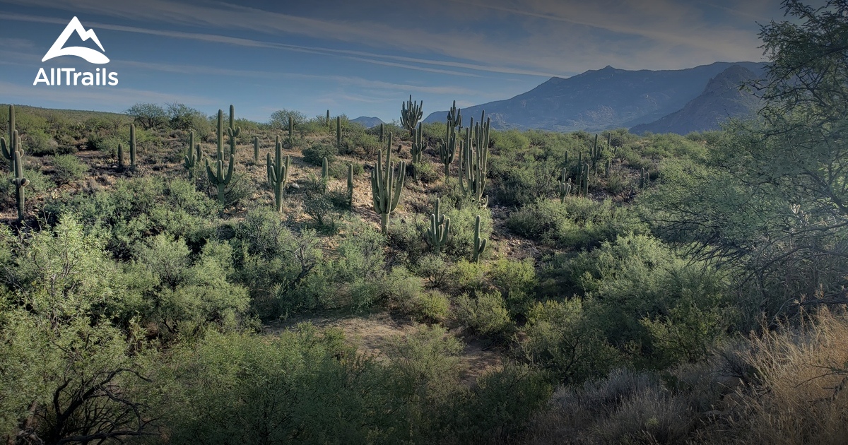 10 Best trails and hikes in Catalina | AllTrails