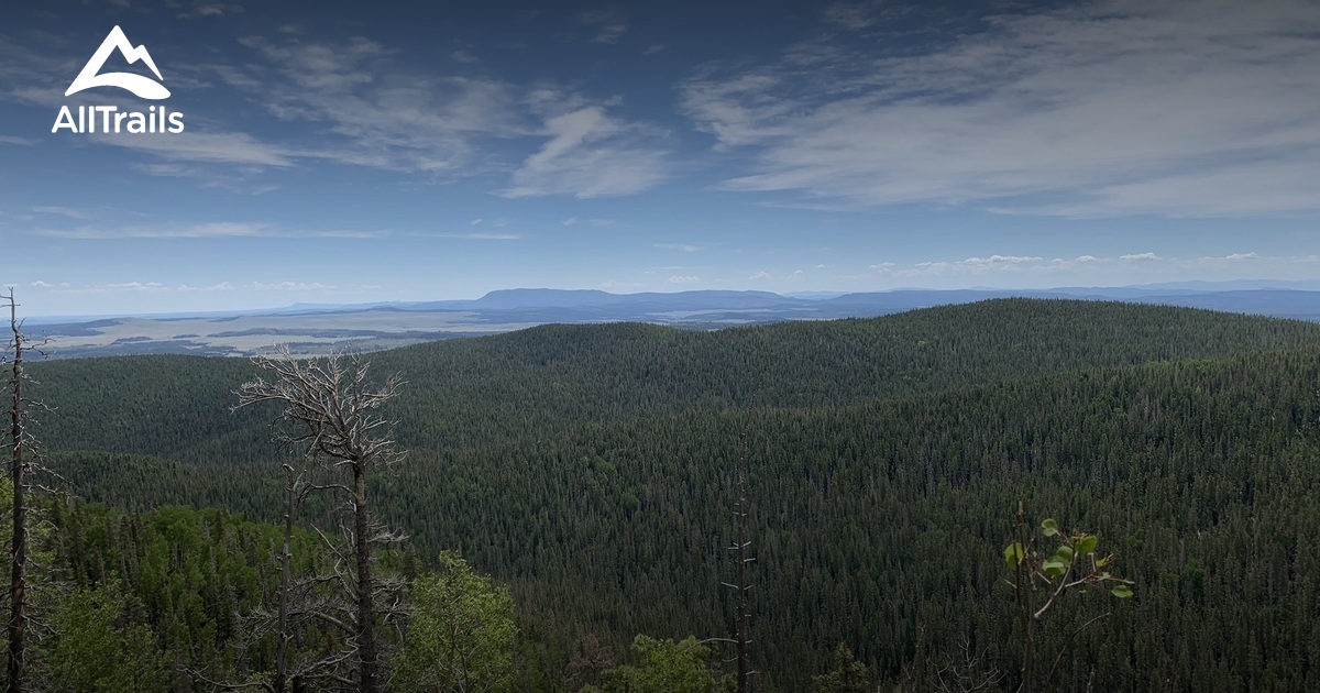 Best Trails near Greer, Arizona | AllTrails