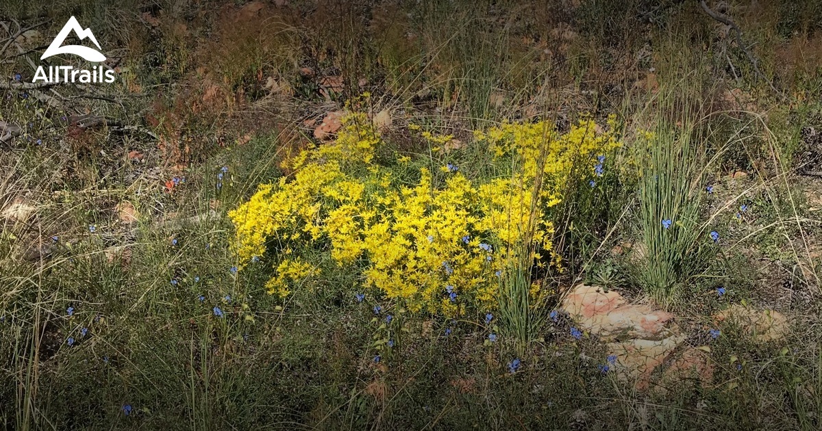 Best Trails near Heber-Overgaard, Arizona | AllTrails