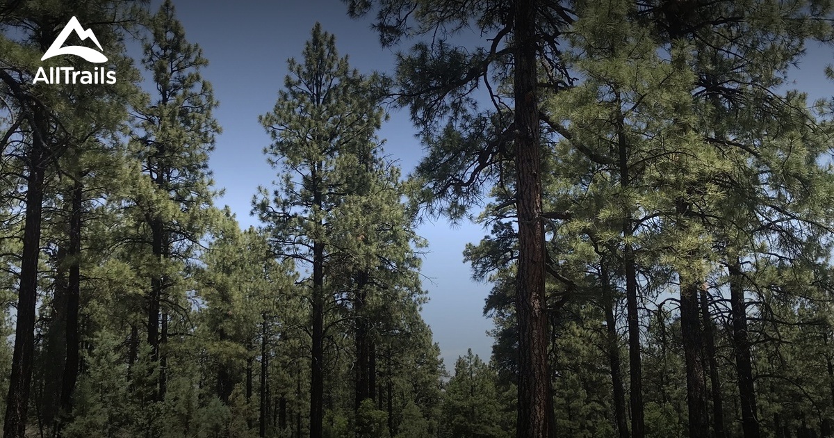 10 Best trails and hikes in Heber-Overgaard | AllTrails