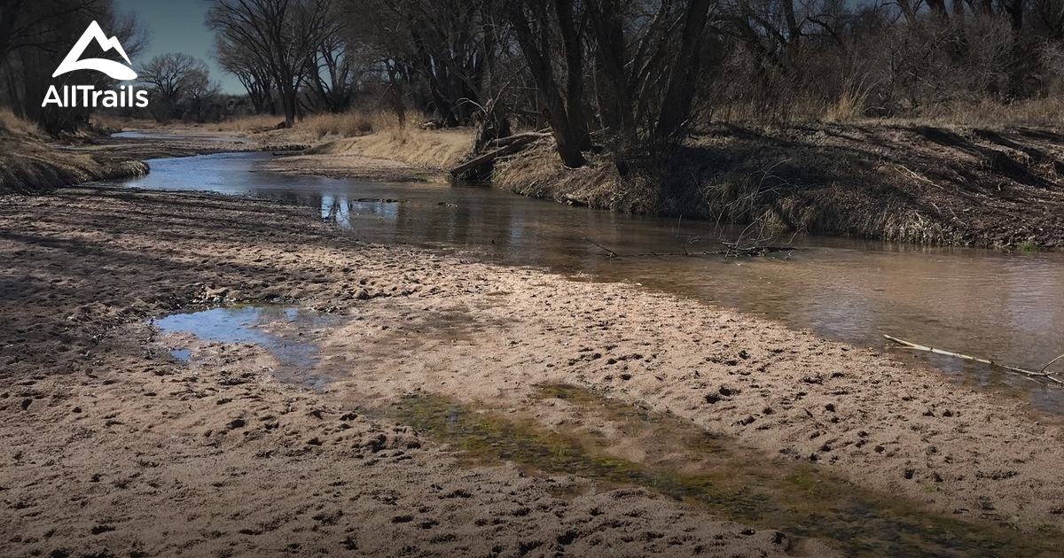 Best hikes and trails in Huachuca City | AllTrails