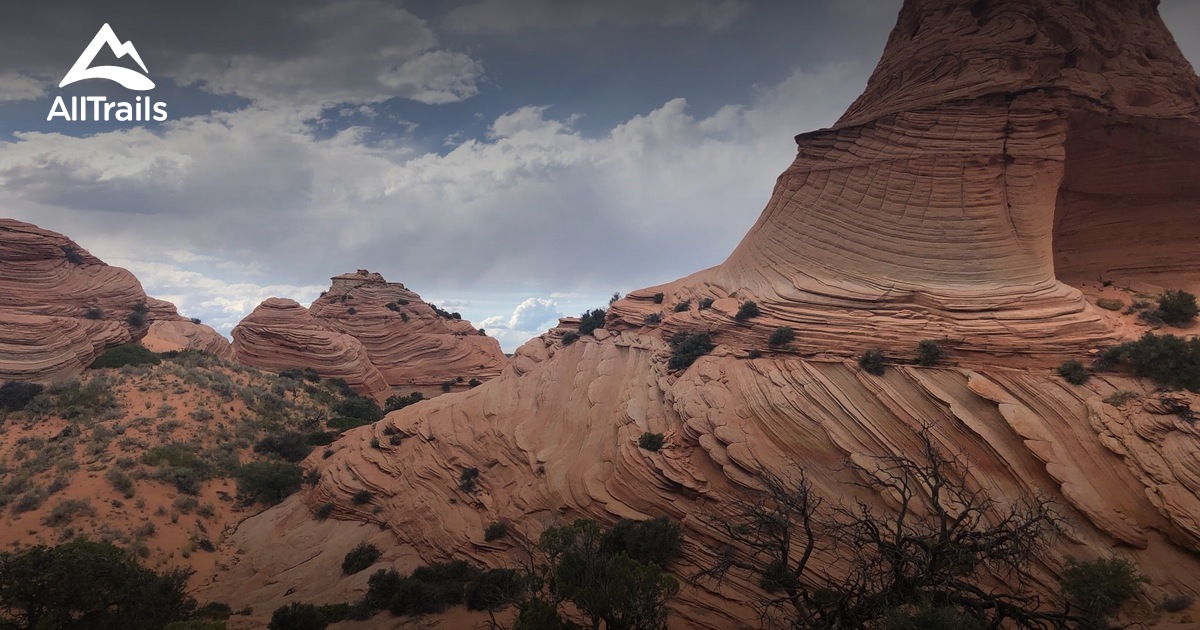 Best Trails near Jacob Lake, Arizona | AllTrails