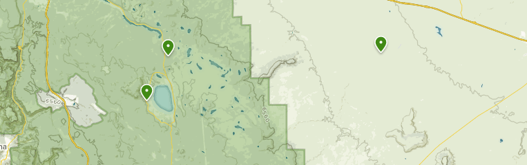 Best Trails near Mormon Lake, Arizona | AllTrails