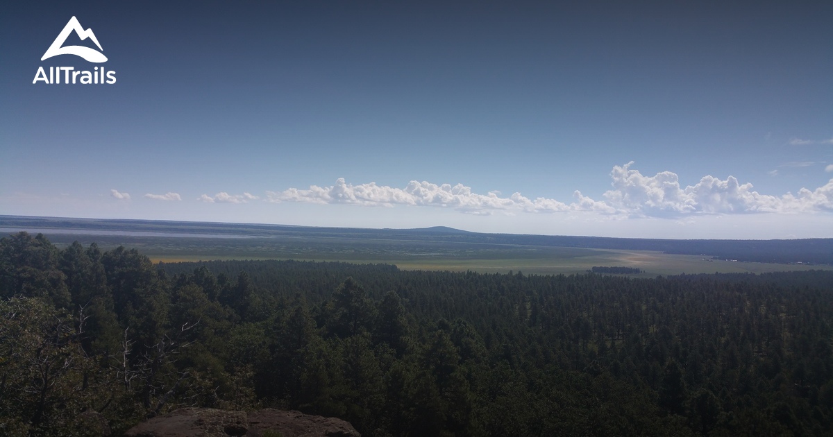 Best hikes and trails in Mormon Lake | AllTrails