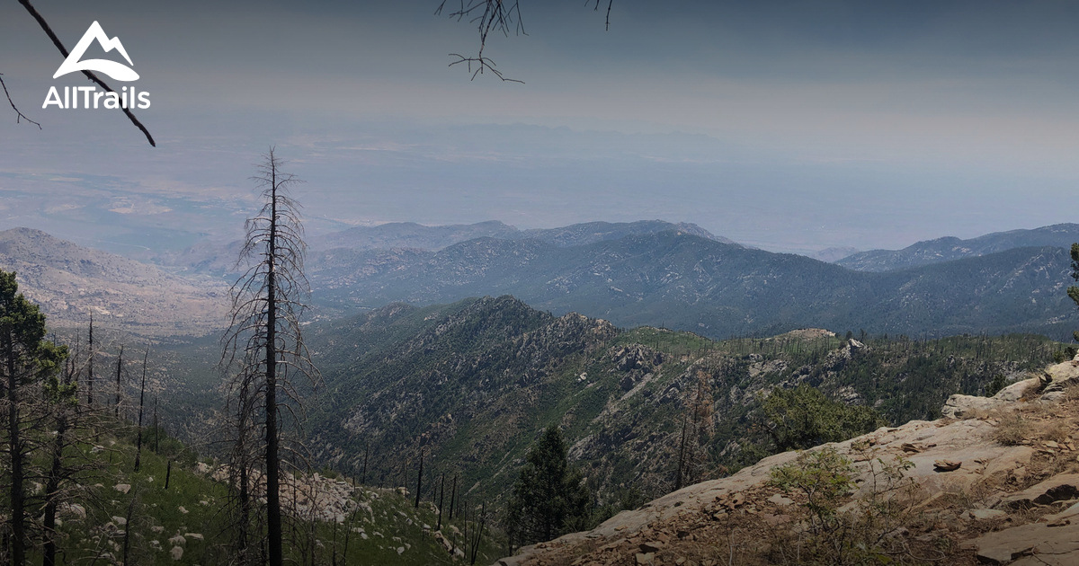 10 Best trails and hikes in Safford | AllTrails