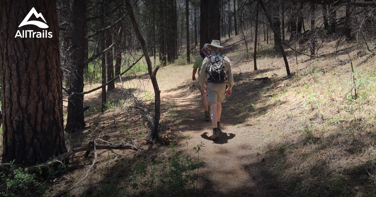 10 Best trails and hikes in Springerville | AllTrails