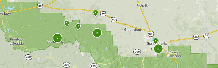 Best trails in Springerville, Arizona | AllTrails