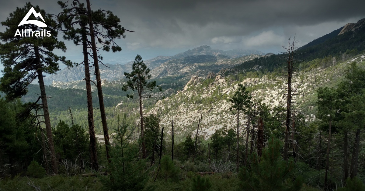 Best hikes and trails in Summerhaven | AllTrails