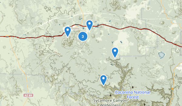 Best Trails near Williams, Arizona | AllTrails.com