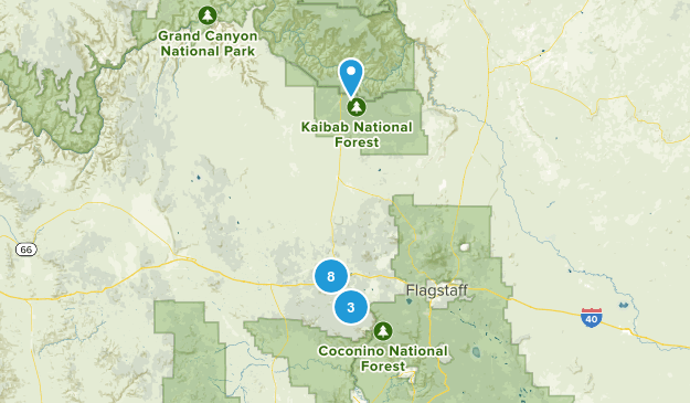 Best Trails near Williams, Arizona | AllTrails