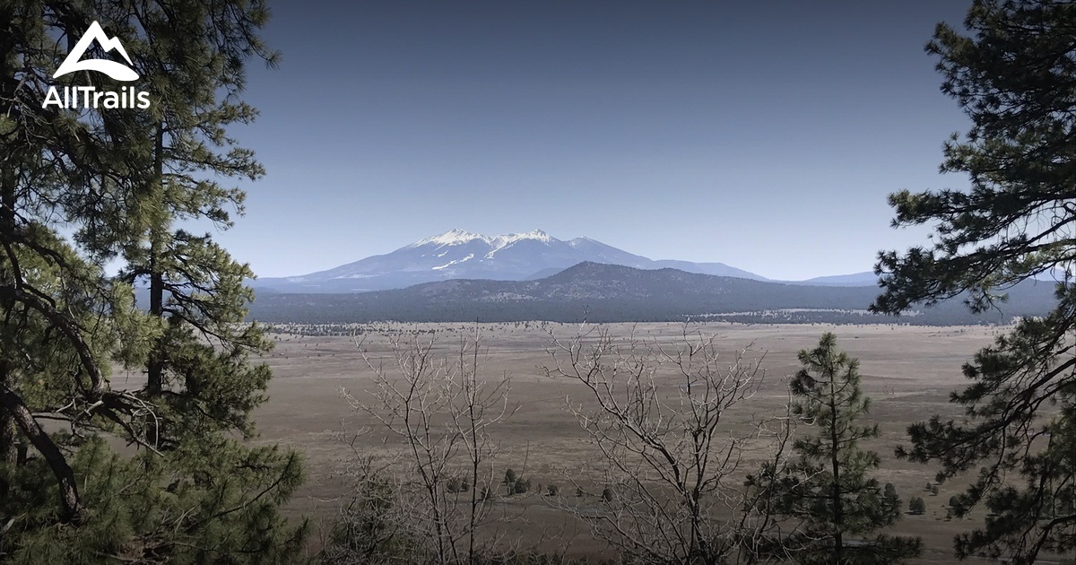 10 Best trails and hikes in Williams | AllTrails
