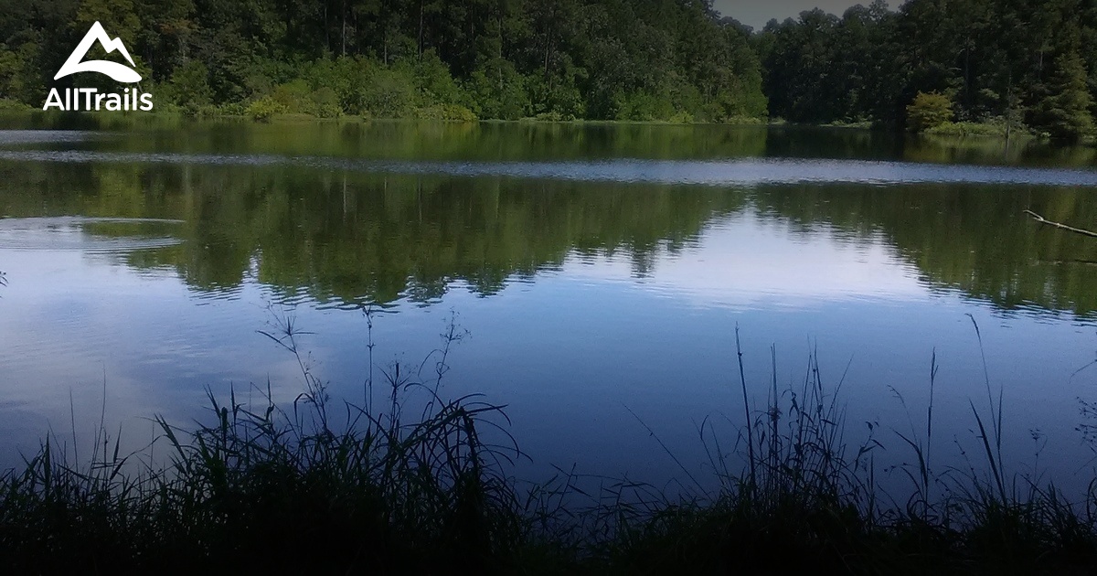 2023 Best Forest Trails in Crossett | AllTrails