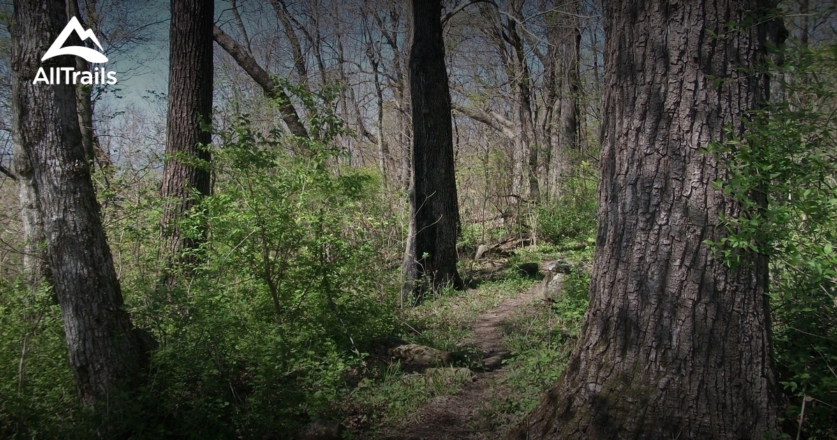 Best Trails near Fayetteville, Arkansas | AllTrails