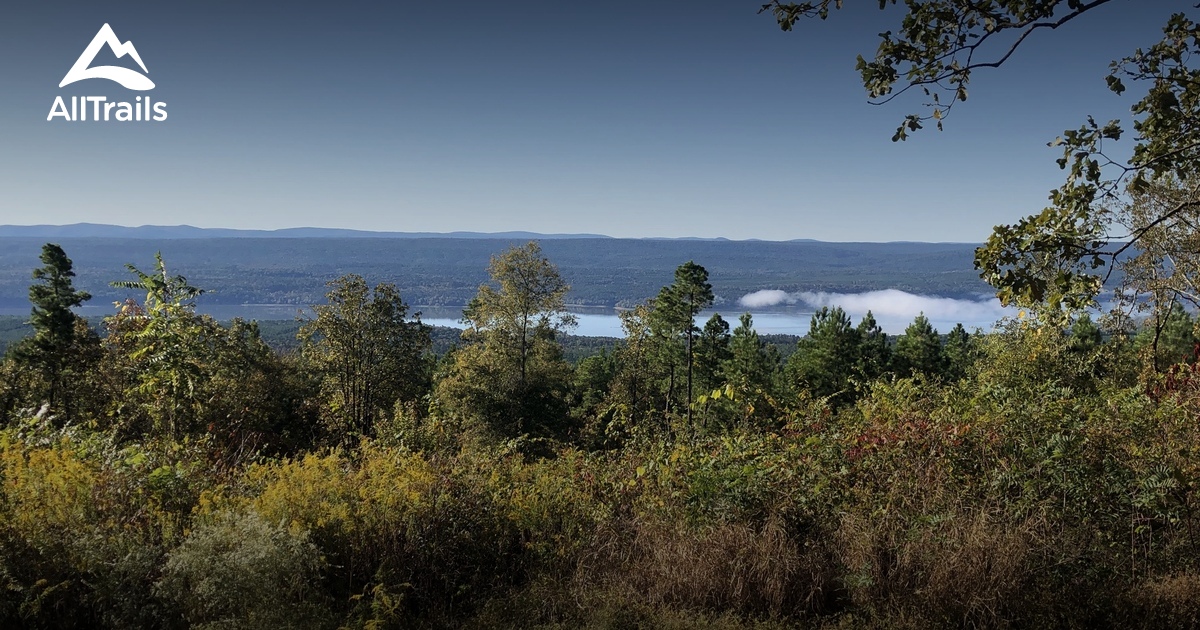 Best hikes and trails in Junction City | AllTrails