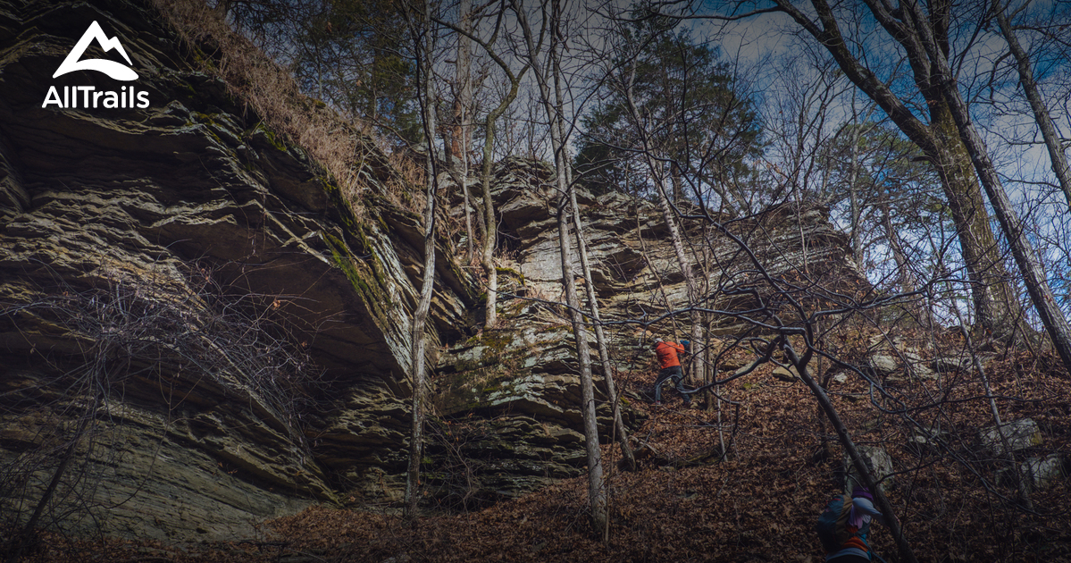 Best hikes and trails in Mansfield | AllTrails