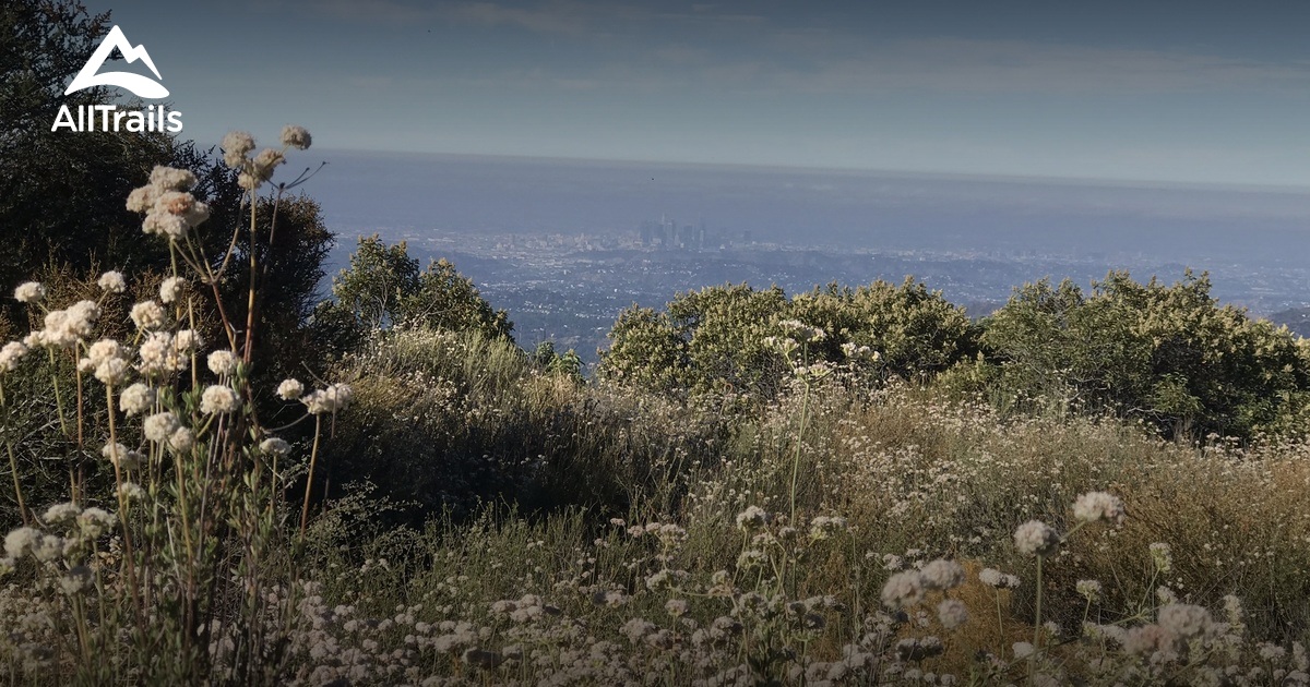 10 Best trails and hikes in Altadena | AllTrails