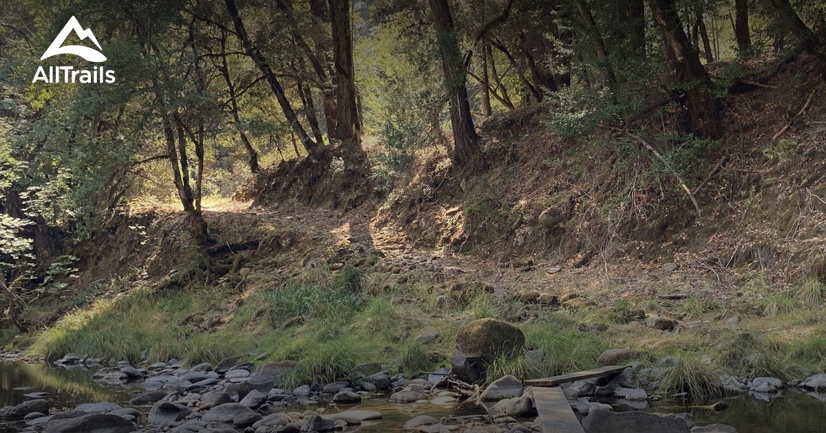 Best hikes and trails in Branscomb | AllTrails