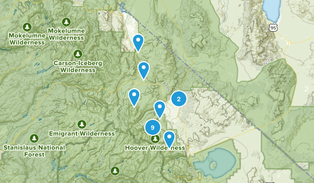 Best Trails near Bridgeport, California | AllTrails