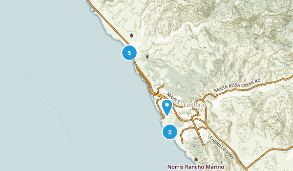 Best Trails near Cambria, California | AllTrails