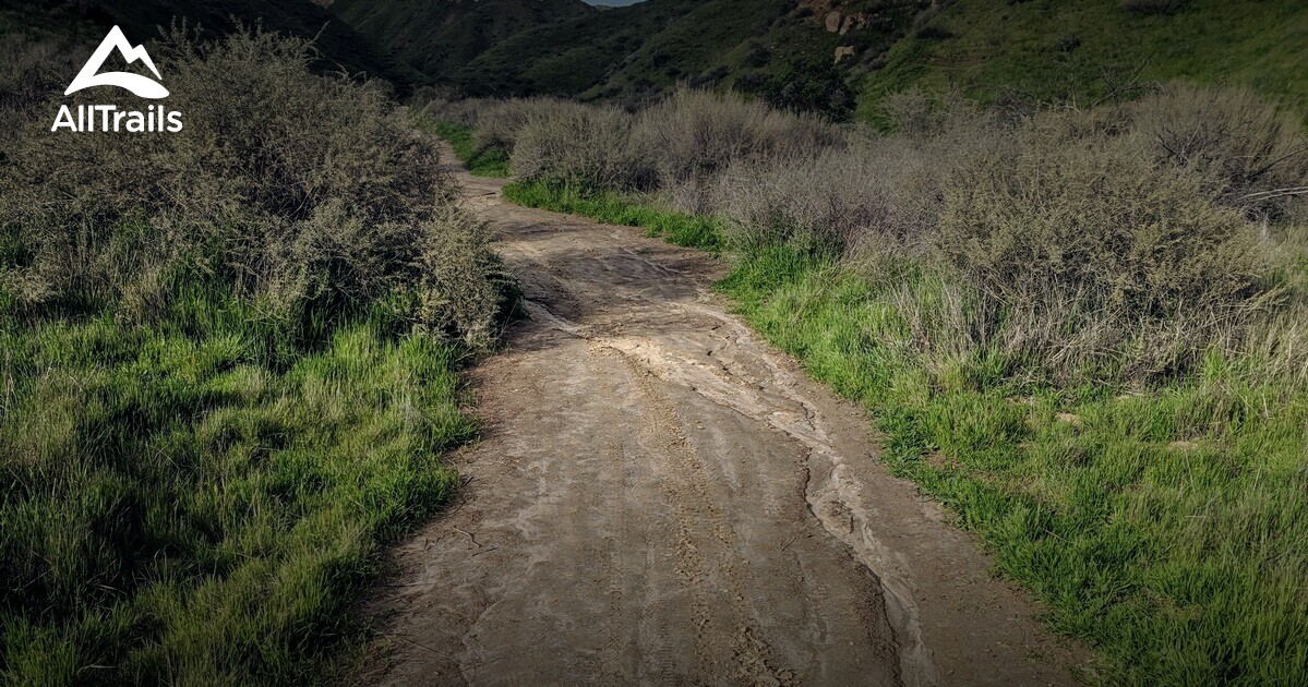 Best wildflower trails in Canyon Country | AllTrails