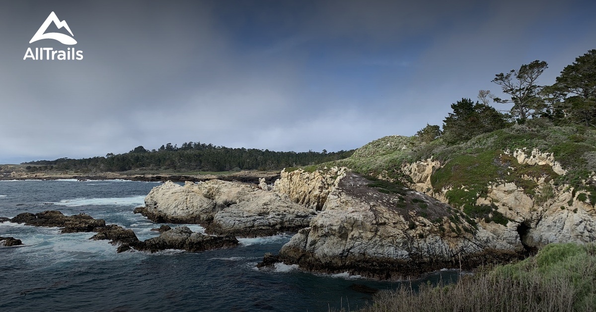 10 Best forest trails in Carmel | AllTrails