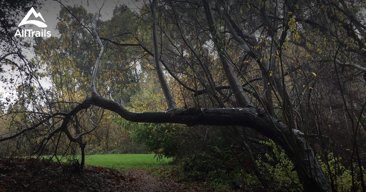 Best Trails near Castro Valley - California | 92 Photos & 69 Reviews ...