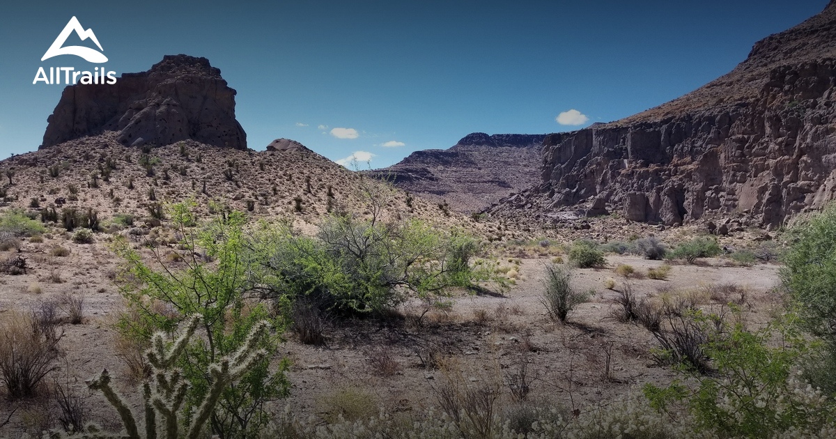 Best hikes and trails in Cima | AllTrails