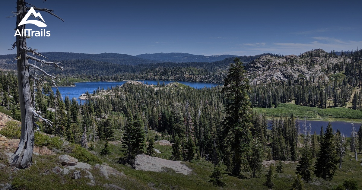 Best forest trails in Clio | AllTrails