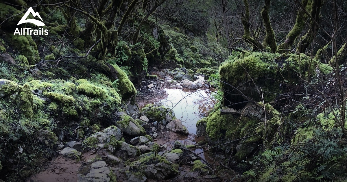 Best Trails near Cool, California | AllTrails