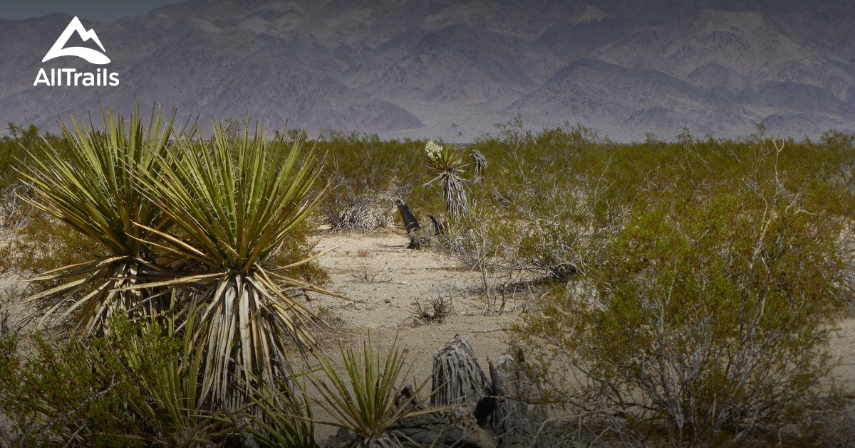Best historic site trails in Desert Center | AllTrails