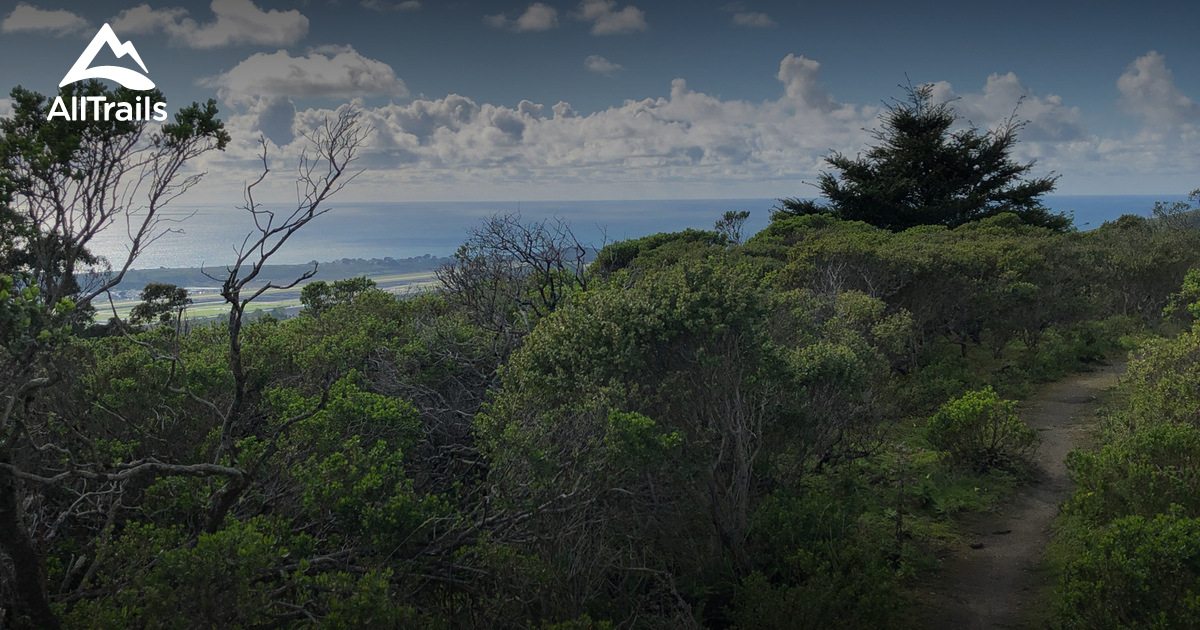 Die Besten Kurzen Routen in El Granada | AllTrails