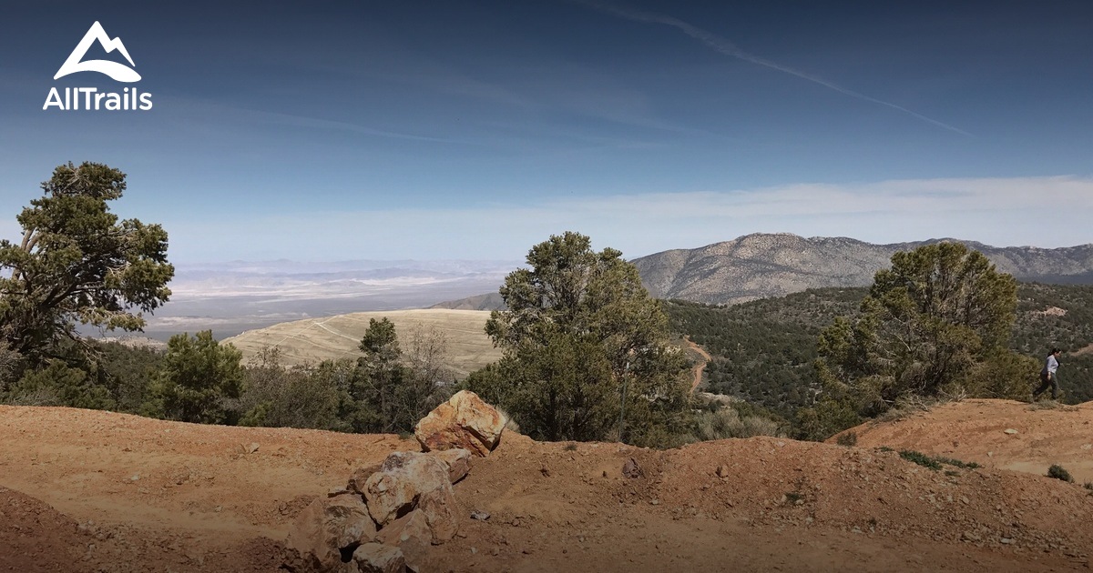 10 Best trails and hikes in Fawnskin | AllTrails