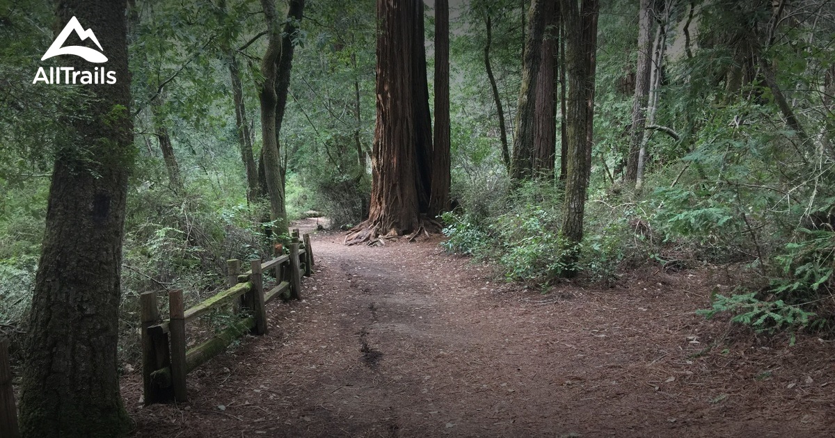 10 Best trails and hikes in Felton | AllTrails