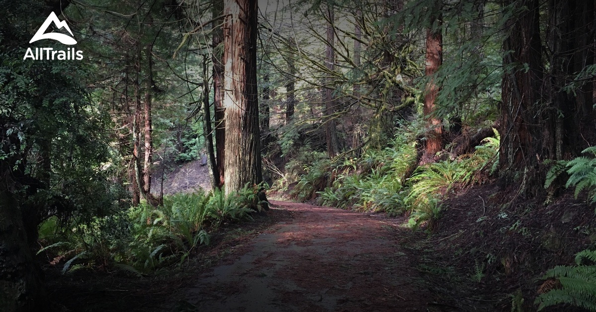 Best wildlife trails in Fields Landing | AllTrails