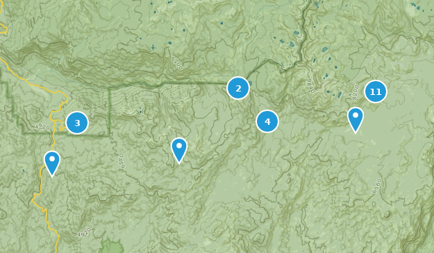 Best Trails near Fish Camp, California | AllTrails