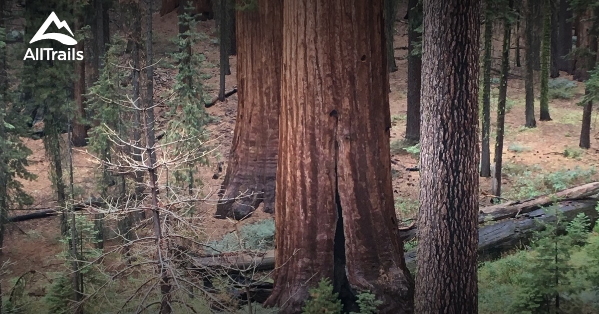 Best Trails near Fish Camp, California | AllTrails