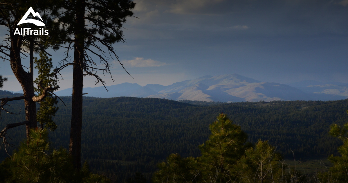 Best hikes and trails in Floriston | AllTrails