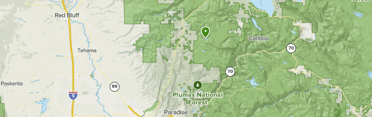 Best Hikes and Trails in Forest Ranch | AllTrails