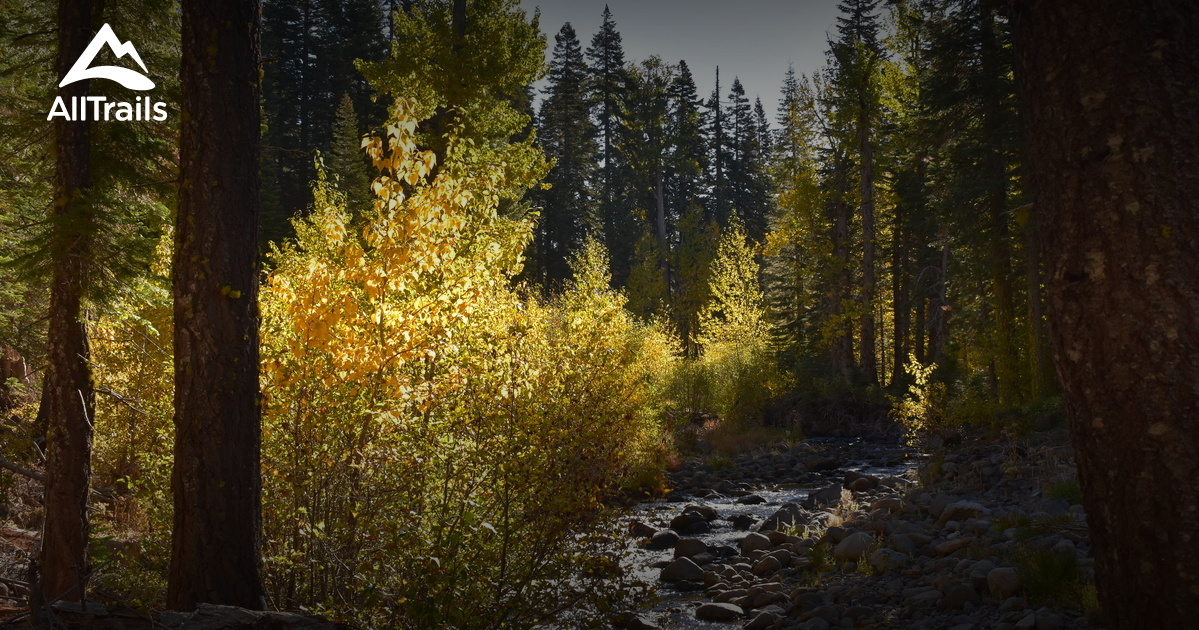 Best views trails in Forest Ranch | AllTrails